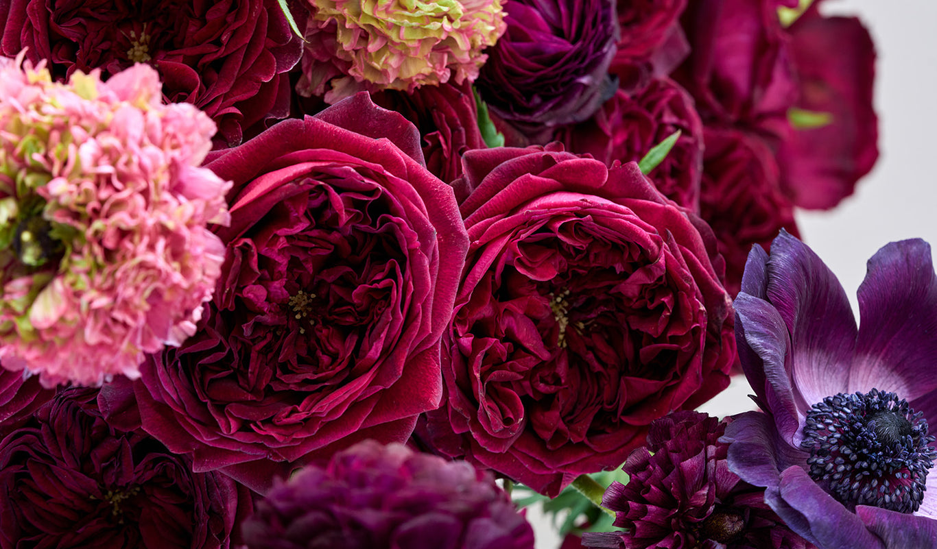 Roses and Friends