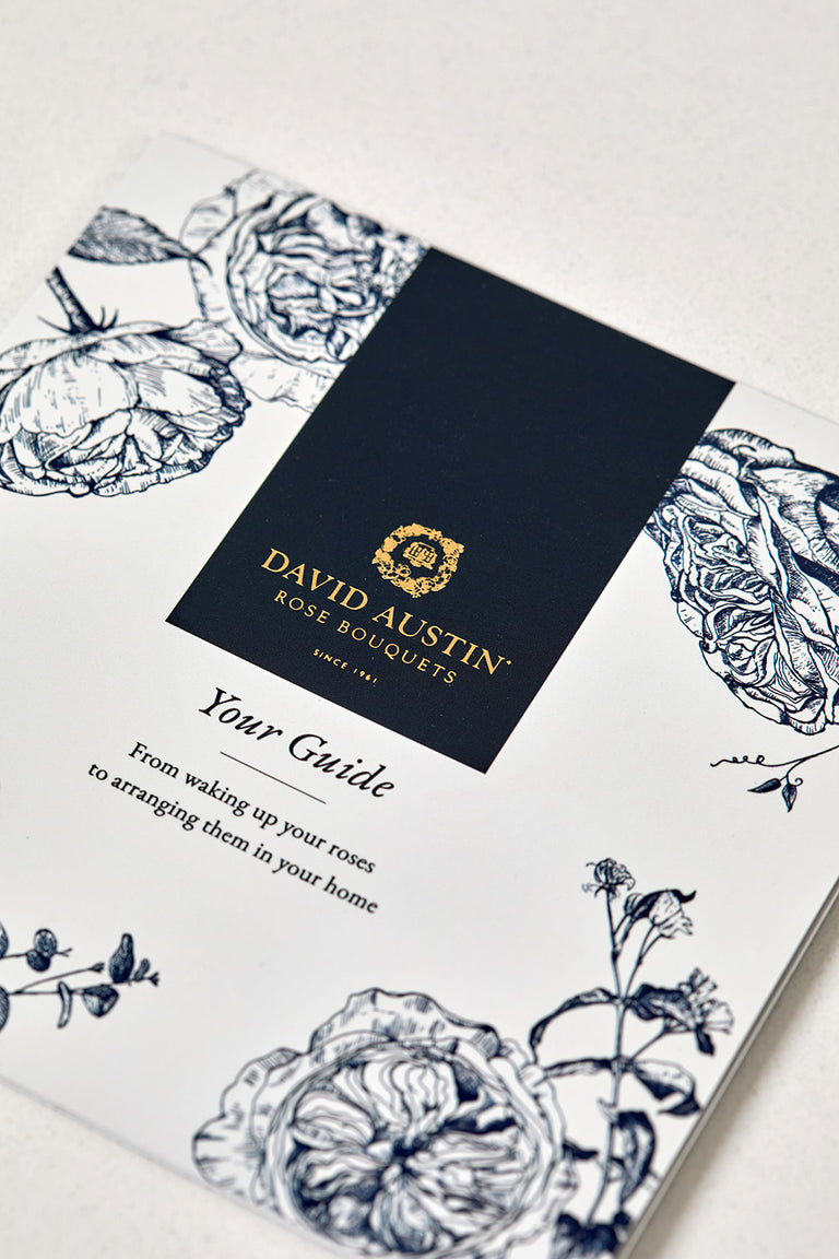 Discover Our Guide | The David Austin Experience